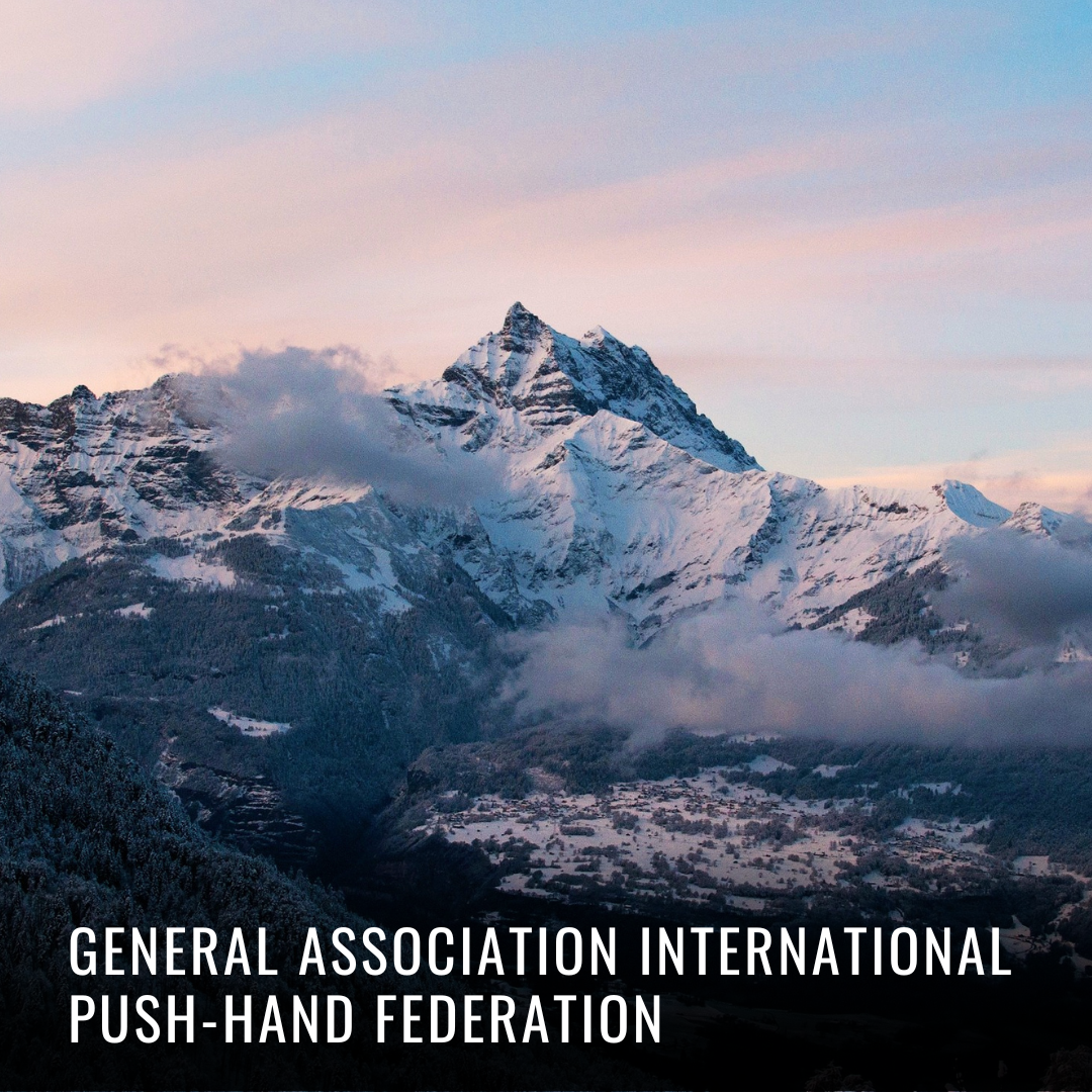 國際推手總會聯合會